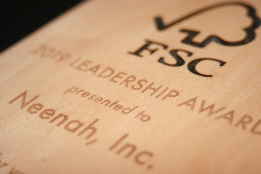 fsc-2019-leadership-awards.ashx