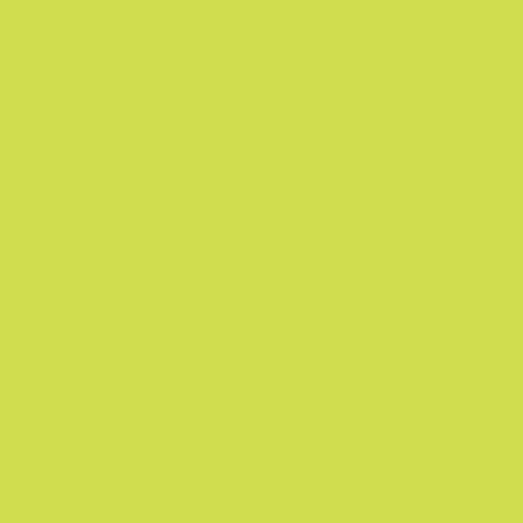 bright green smooth - exact brights® papers - Neenah Paper