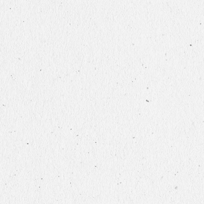 white fiber - royal sundance® papers - Neenah Paper