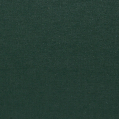 dark green 9316 natural - skivertex® summit - Neenah Paper